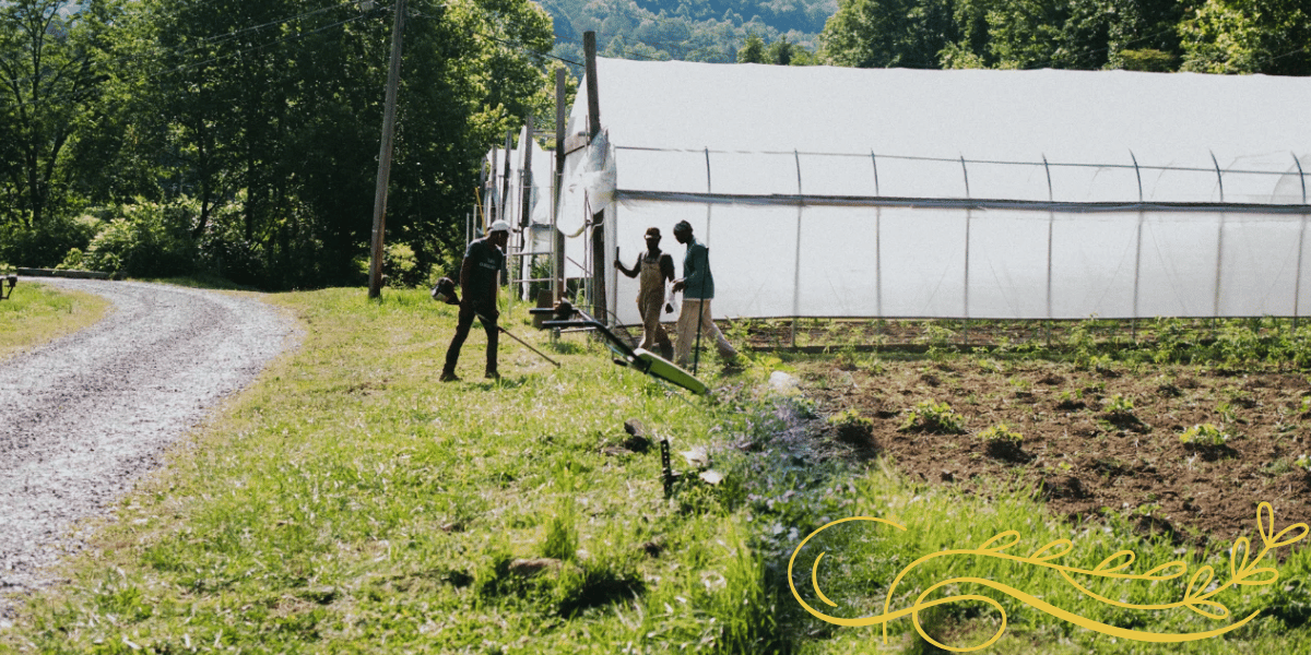 Conservation - Economic Development Greater East