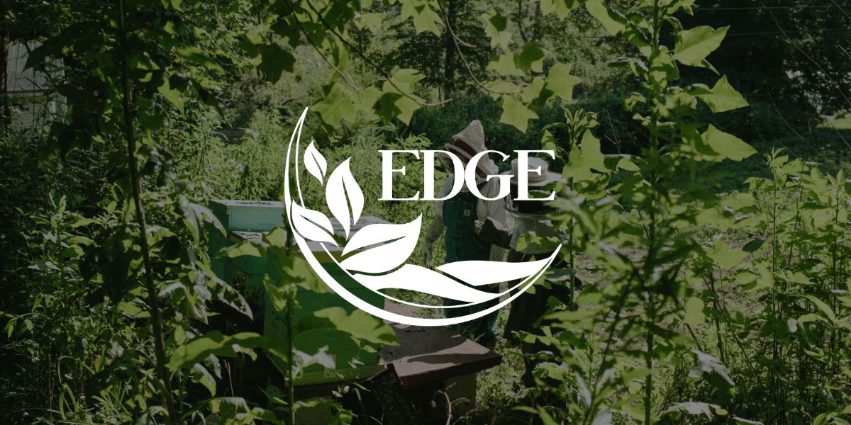 Progress and Focus - Economic Development Greater East